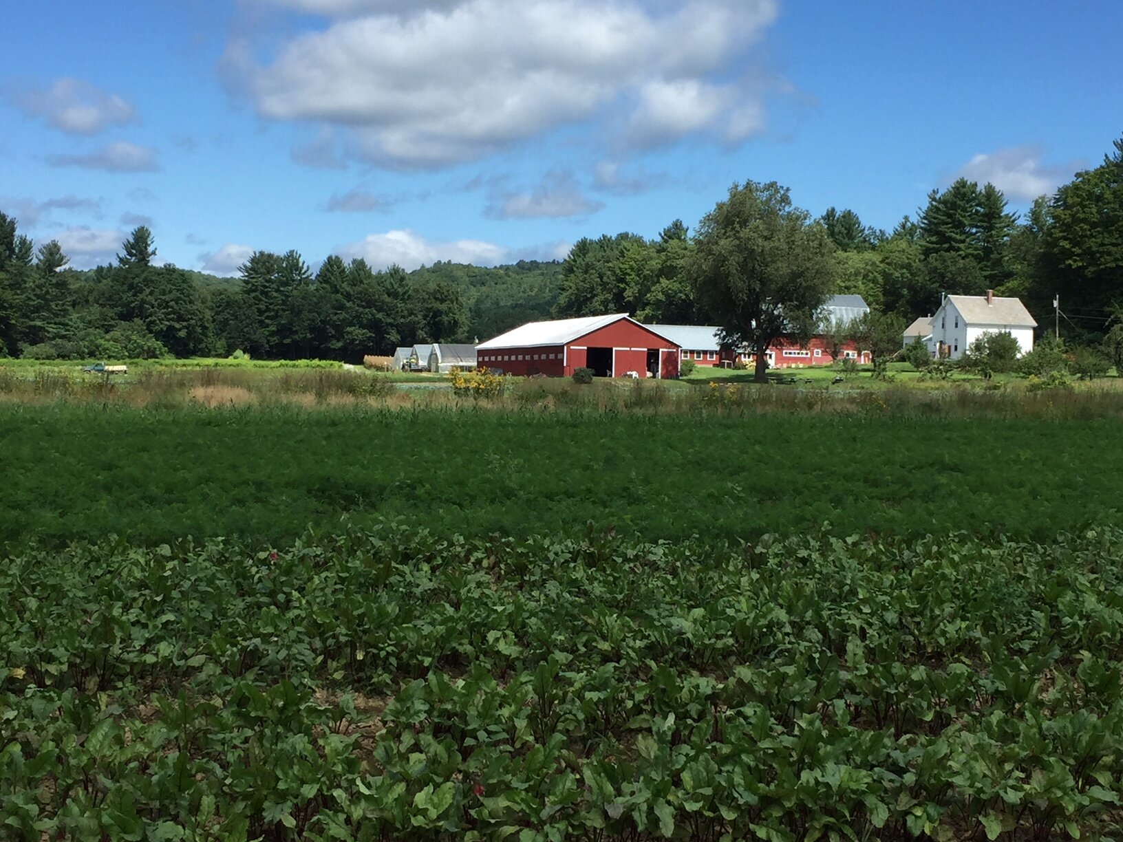 Meet the Farmers - Fresh Start Farms