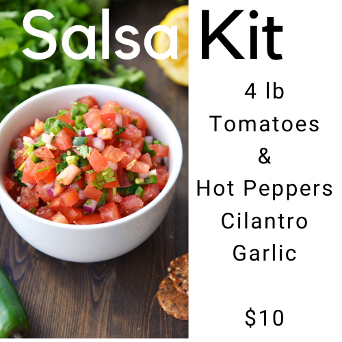 Fall Week 2: Share the bounty with a FoodDonation Share - Fresh Start Farms