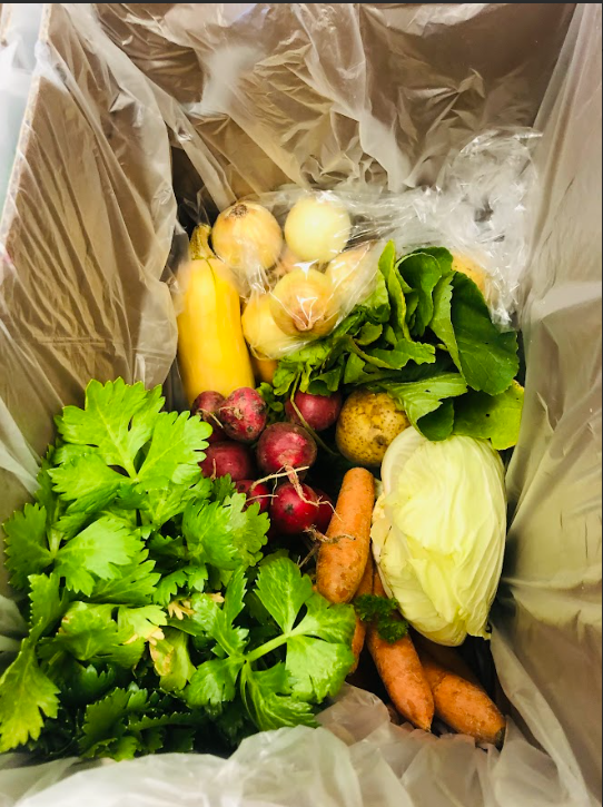 Fall '23 Week 1: Welcome to the Fall FarmShare! - Fresh Start Farms